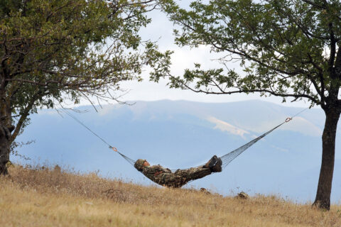 Articles » Wavell Room